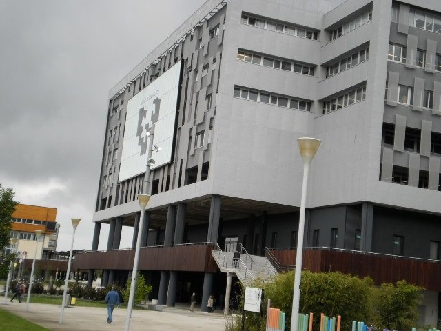 UPV/EHU asciende en el Ranking de Shanghai y se sitúa entre las mejores ...