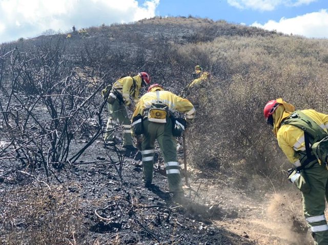 Efectivos del Plan Infomur dan por controlado el incendio originado ...