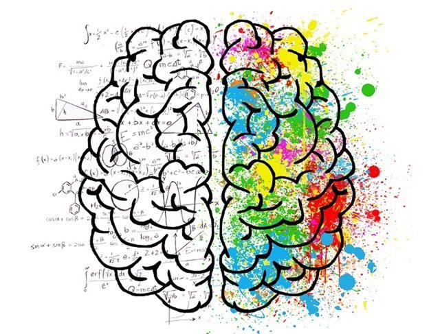 Más cerca de saber cómo se organiza el procesamiento del color en el ...