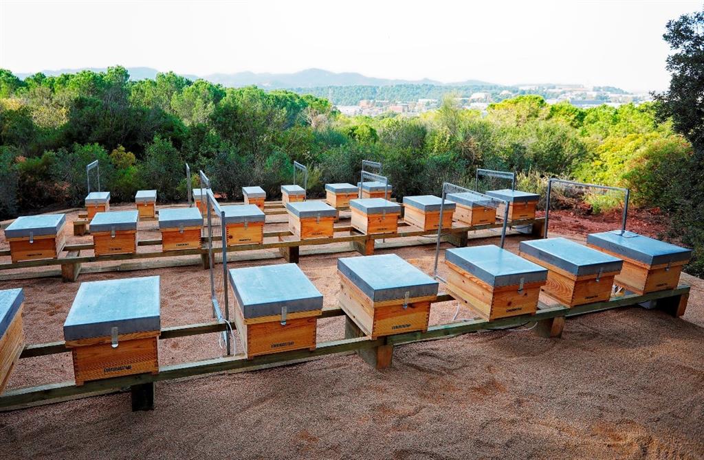 El cementerio Roques Blanques de El Papiol (Barcelona) instala un ...