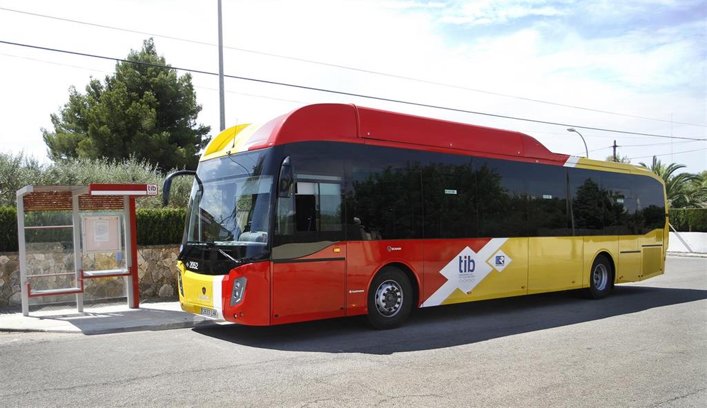 La nueva red de buses TIB de la zona norte de Mallorca inicia el ...