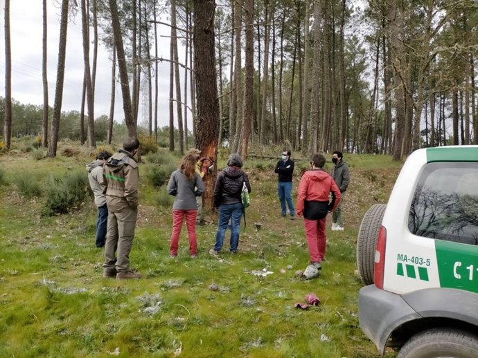Diputación de Salamanca y Cesefor organizan una jornada técnica para la gestión del pino resinero