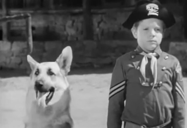 Muere Lee Aaker, el niño de 'Rin Tin Tin', a los 77 años