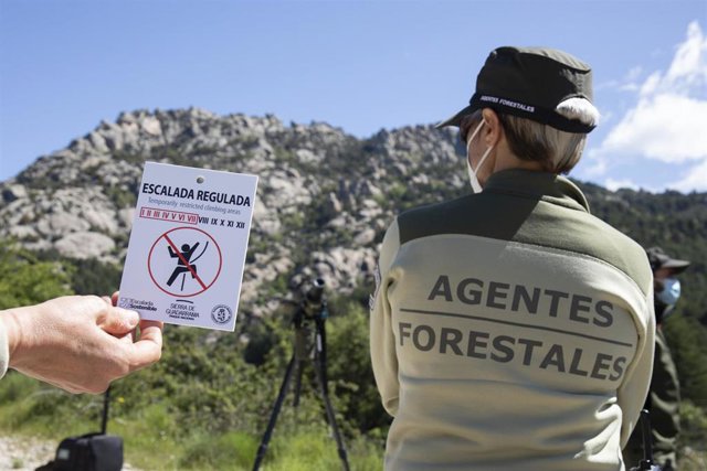 Los agentes forestales de Madrid participaron en 740 intervenciones en ...