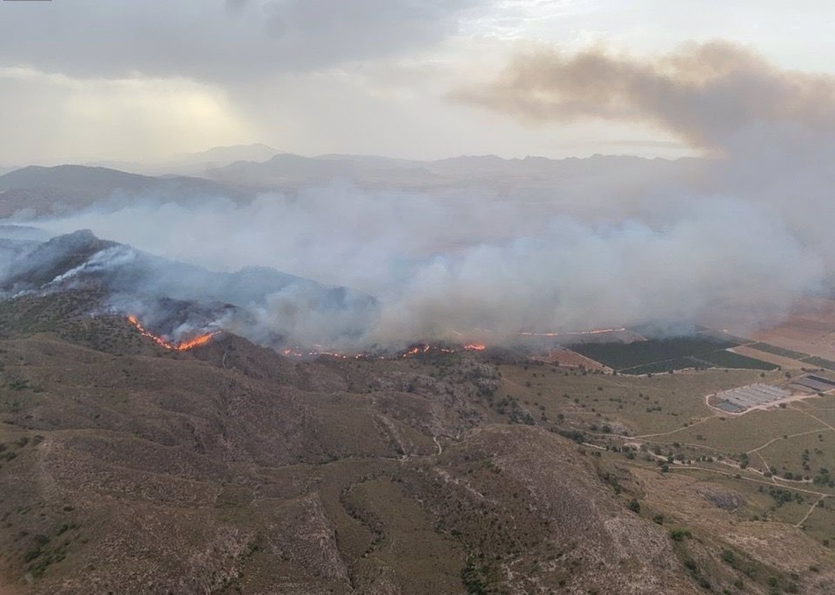Activan el nivel 2 del Plan Infomur para extinguir un incendio forestal ... Activan el nivel 2 del Plan Infomur para extinguir un incendio forestal ...