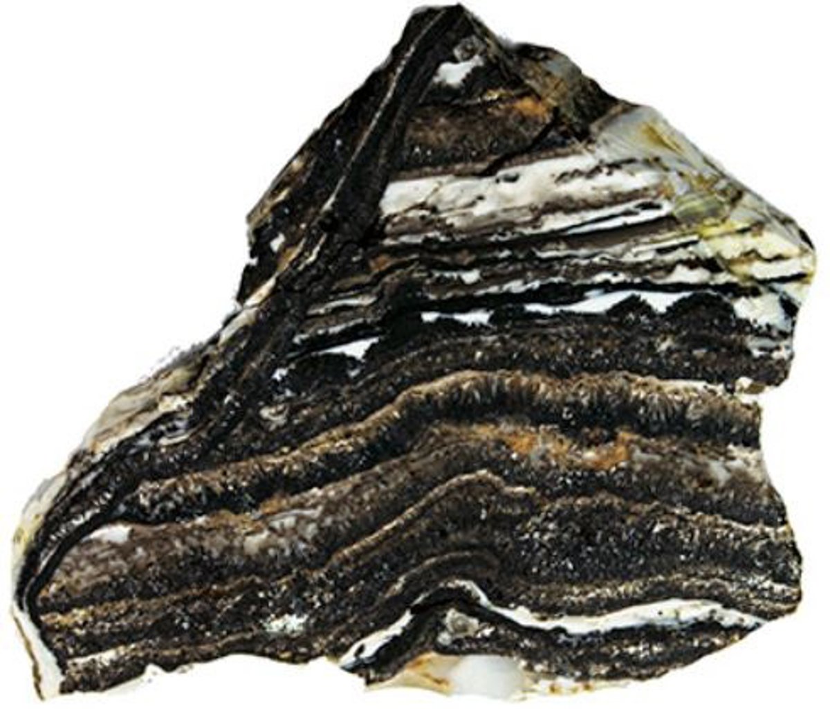 Un registro de 100.000 años en roca de la mayor masa de hielo del mundo