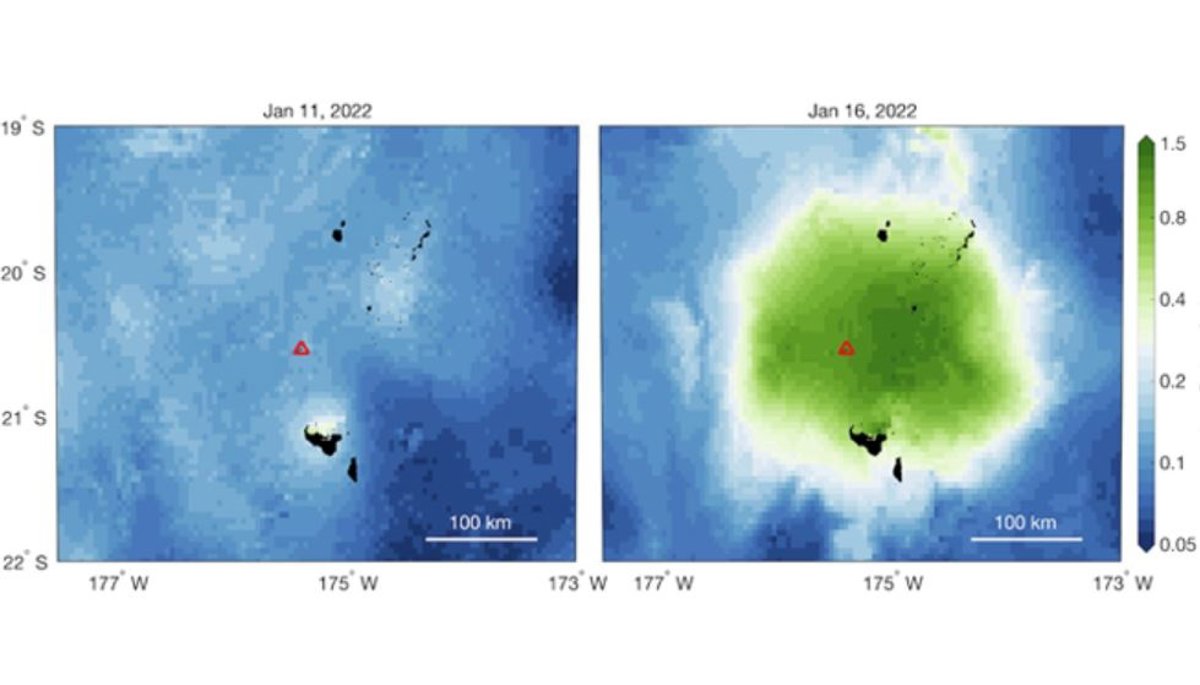 La erupción de Tonga provocó una inmediata explosión de vida