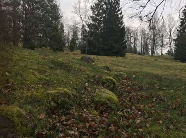 La autoimagen de los vikingos fue influenciada por la antigua Roma