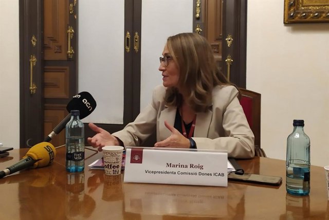El Icab cree que "faltan medios" para aplicar la Ley de 'solo sí es sí'