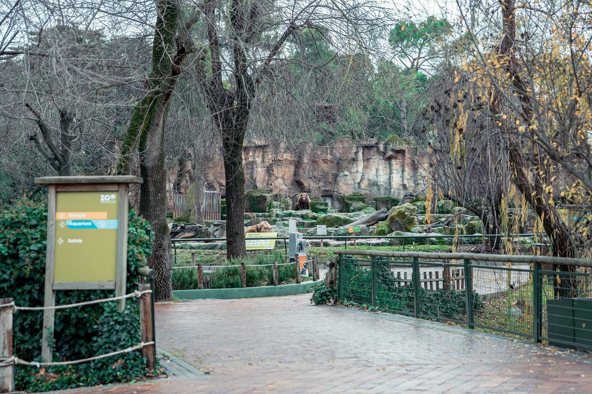 El Zoo de Madrid dedica un cuidado especial en invierno a las 76 ...