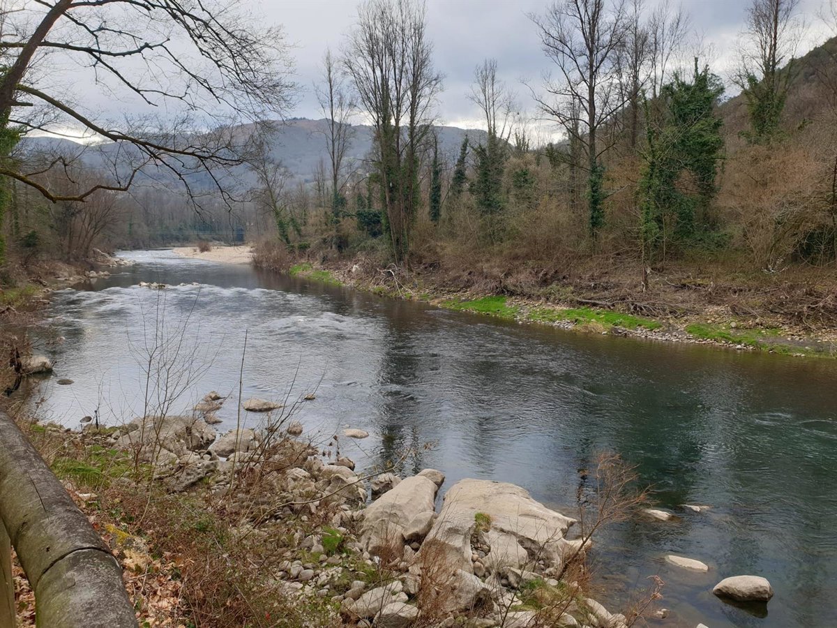 El río Narcea, en situación de alerta en su desembocadura al Nalón