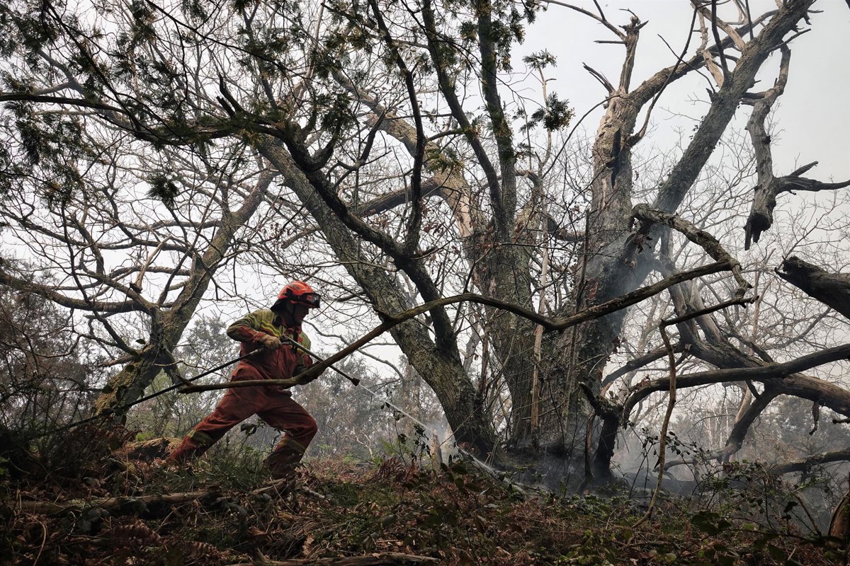 "Ye una fola de quemes provocaes que nun tien precedentes", diz ...