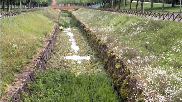Iniciados los trabajos de conservación en un tramo del río Pilón