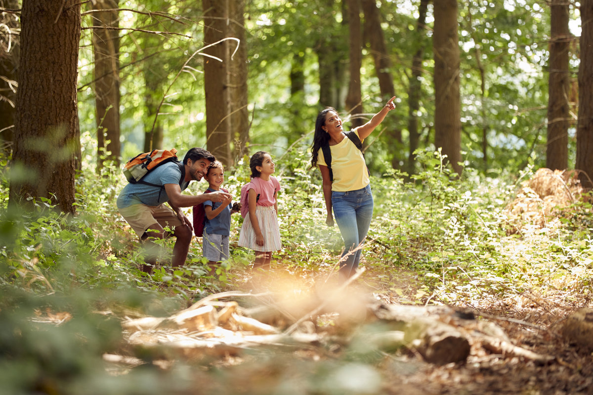 10 planes interesantes de ocio y tiempo libre para familias de vacaciones