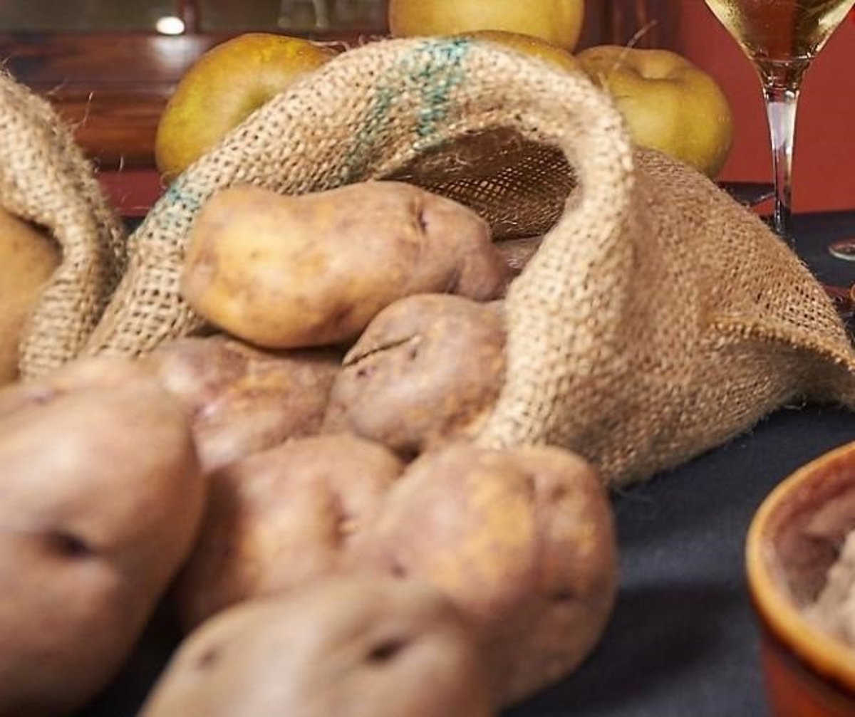Asaga advocates promoting potato cultivation in the Canary Islands to ...