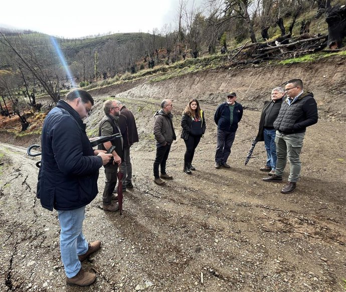 La Xunta reivindica las agrupaciones forestales de gestión conjunta, a ...