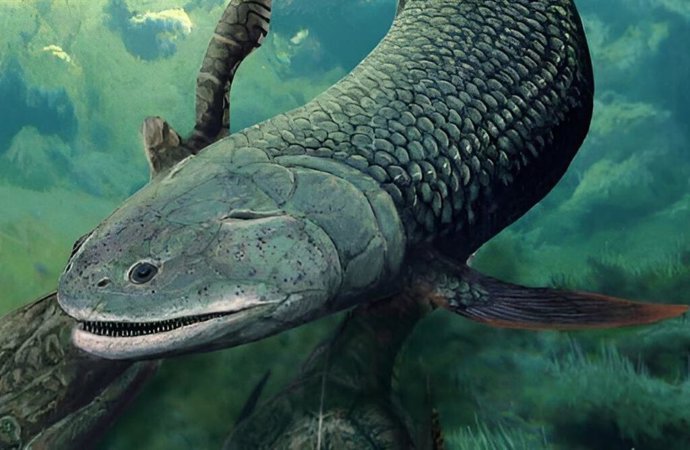 Un antiguo pez australiano respiraba aire hace 380 millones de años