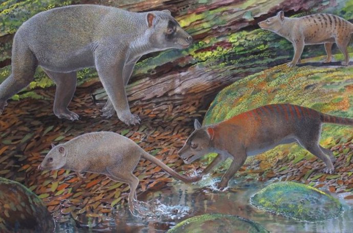 Tres nuevos ancestros se suman a la historia del tigre de Tasmania