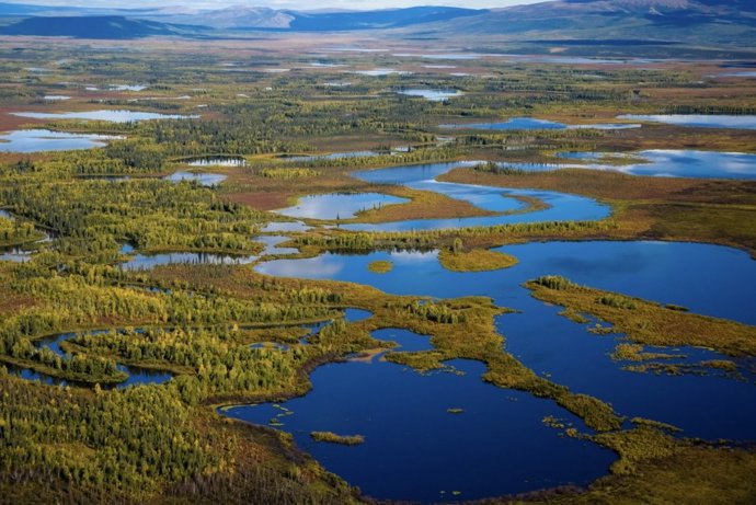 Siberia y Alaska estuvieron unidas por terreno pantanoso