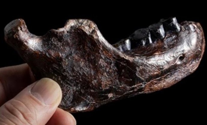 Los denisovanos se extendieron por el sureste asiático hasta Taiwán