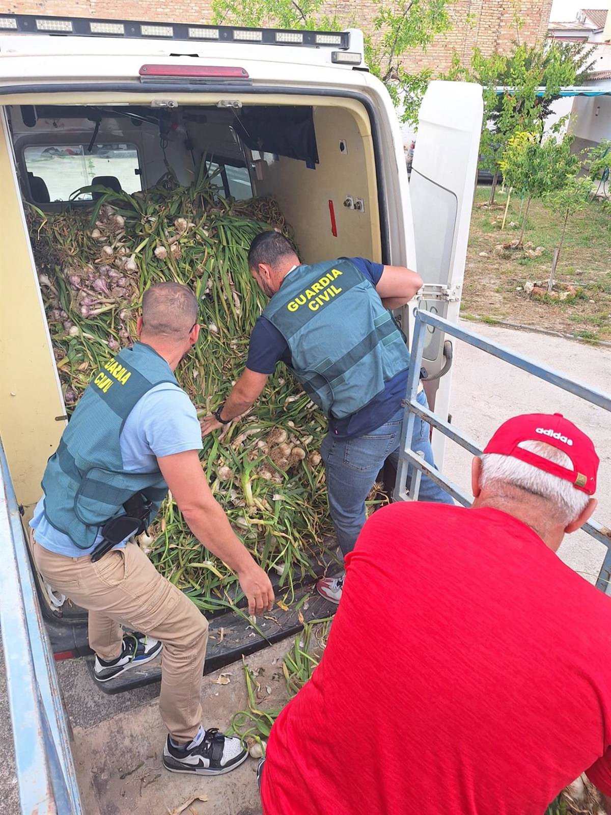 Esclarecido el robo de 2.000 kilos de ajos en Huétor Tájar (Granada ...