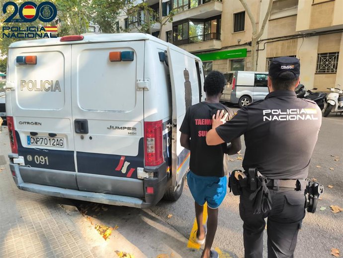 Detenido un hombre por una oleada de robos en el interior de vehículos en varios barrios de Palma