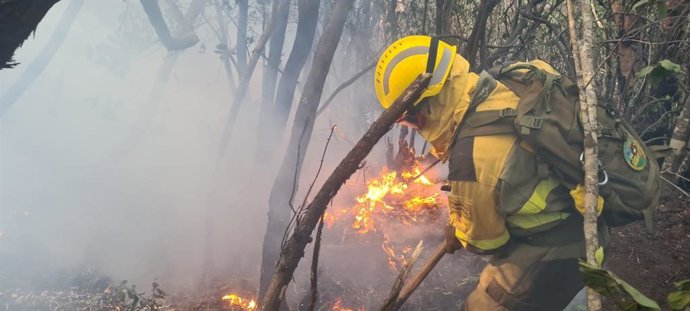 Las brigadas de refuerzo de incendios forestales participarán en labores preventivas durante el ...