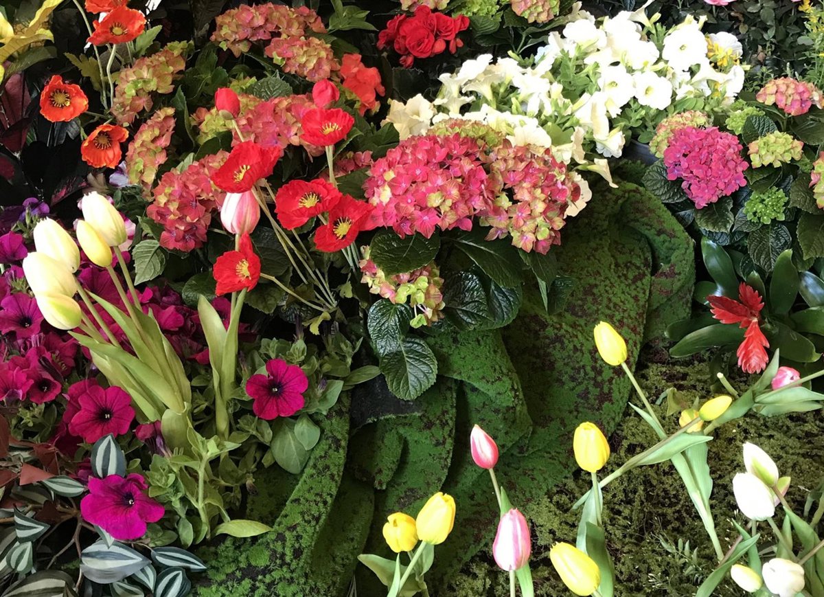 Andalucía refuerza su Banco de Germoplasma Vegetal, referente ...