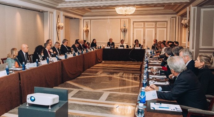 El Patronato de la Fundación IDIS aprueba su plan de acción 2026, centrado en la cohesión y ...