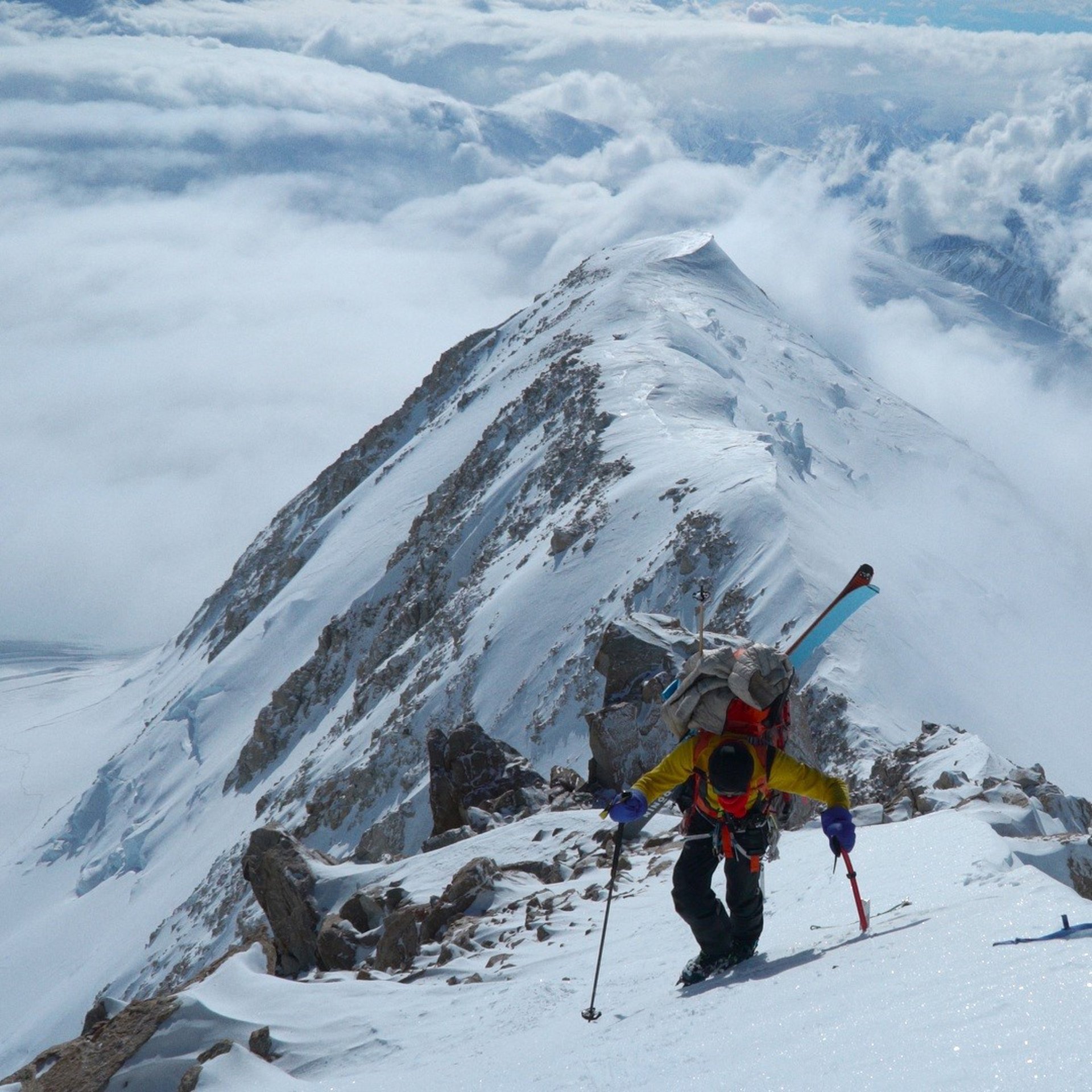 Tenerife acoge este domingo el estreno nacional del festival de cine de ...