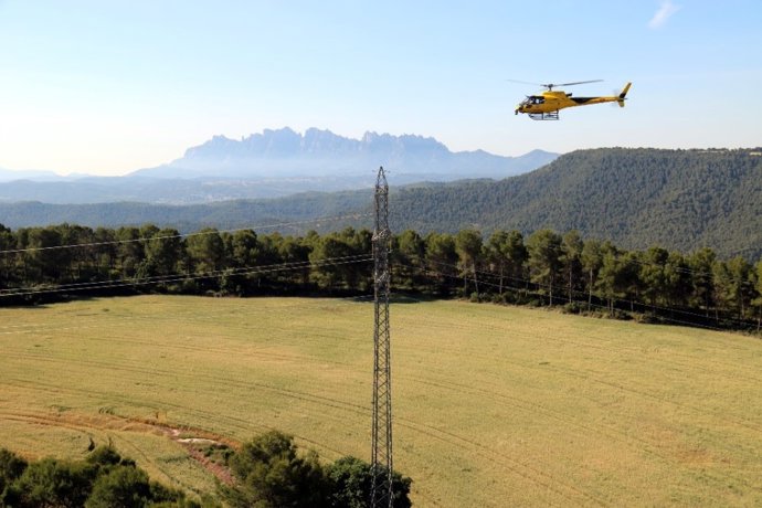 Endesa eleva a 38 millones la inversión para proteger bosques con ...