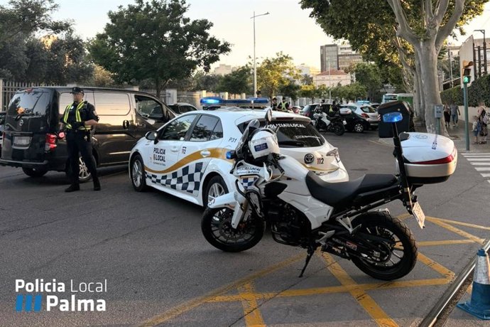Denuncian a 17 personas en un control de Palma por conducir sin carné ...