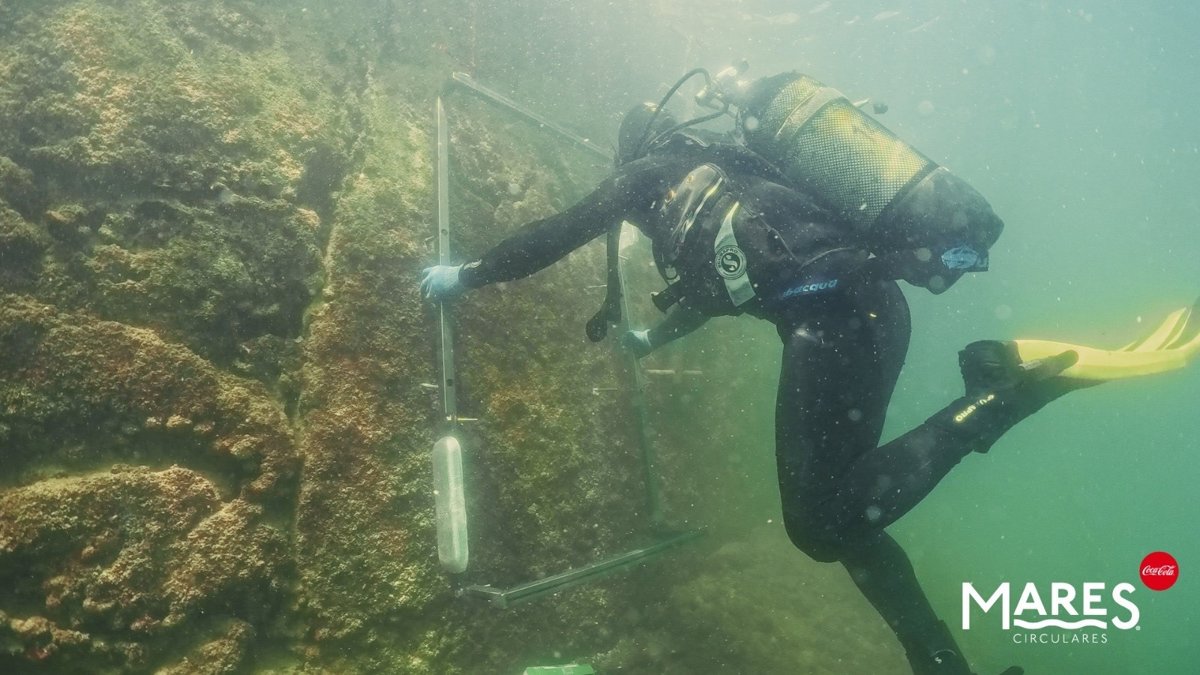 Mares Circulares y Ocean Ecostructures colaboran en la recuperación ...